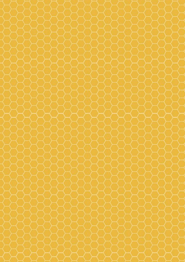 Beginner Bee Hive Quilt Kit Timeless Treasures Home Is Where My Honey ...