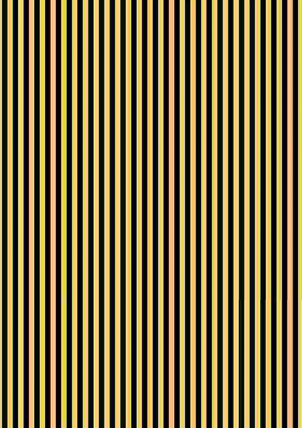 Beginner Bee Hive Quilt Kit Timeless Treasures Home Is Where My Honey ...